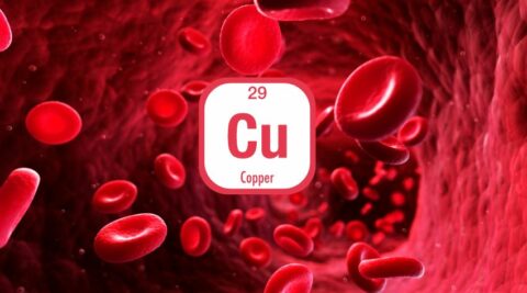 Health Benefits of Copper Supplements - Sara Banta Health