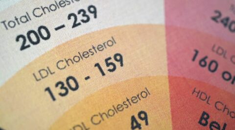 Understanding Cholesterol Levels and Their Impact On Your Health - Sara ...