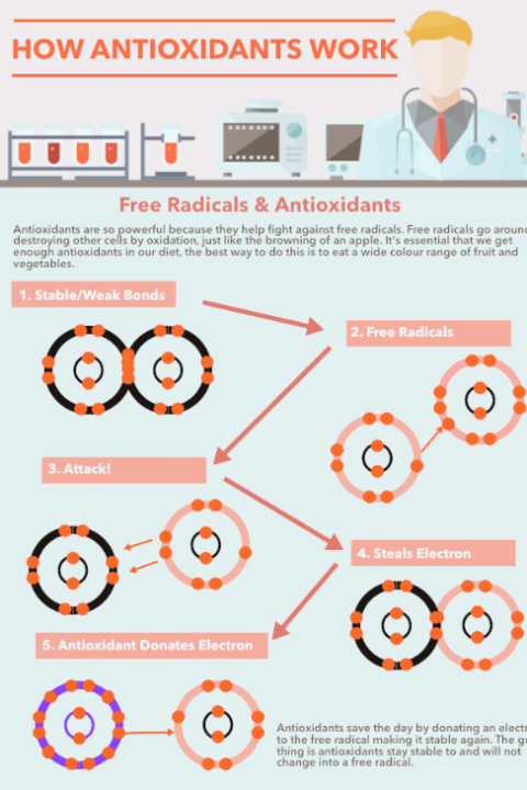 The Role of Antioxidants in Preventing Chronic Disease